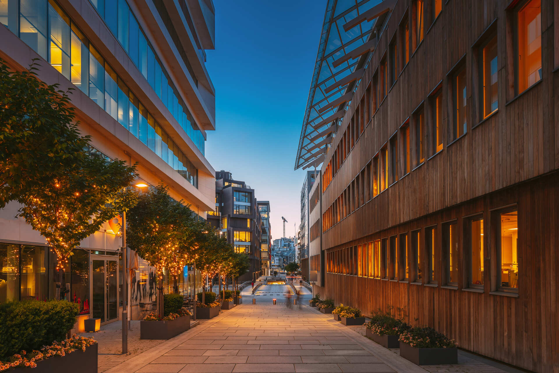 The Sunset - Real Estate Company